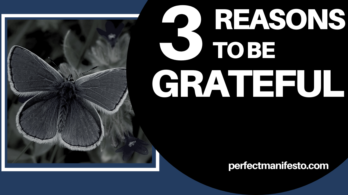 3 Reasons to Be Grateful – Perfect Manifesto