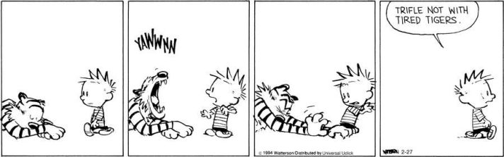 The Wisdom of Calvin and Hobbes – Perfect Manifesto